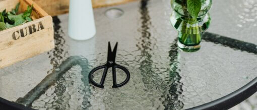 Topped Plant vs. Non-Topped Plant [Cannabis Topping Guide] - Expert ...