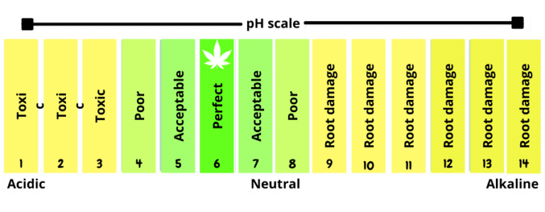 Cannabis deficiencies Guide [Leaves, Nutrients & Charts Explained ...