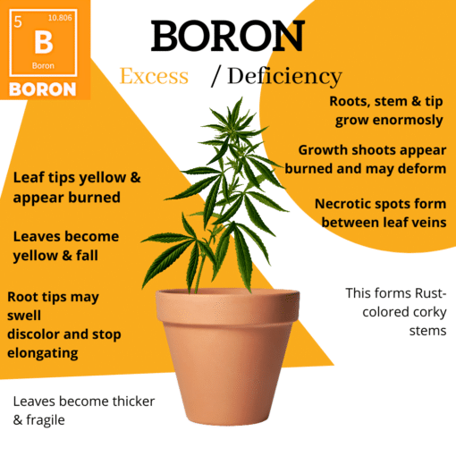 Deficiencies Guide [Leaves, Nutrients & Charts Explained]! - Expert ...