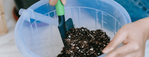 Cannabis deficiencies Guide [Leaves, Nutrients & Charts Explained ...